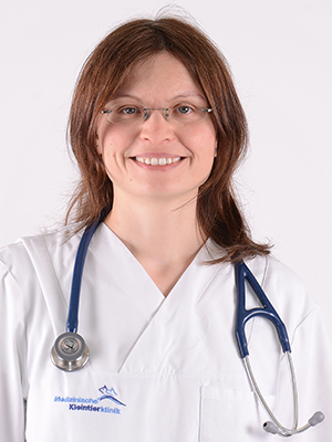 Prof. Dr. Gerhard Wess, Leiter der Tierkardiologie der LMU München